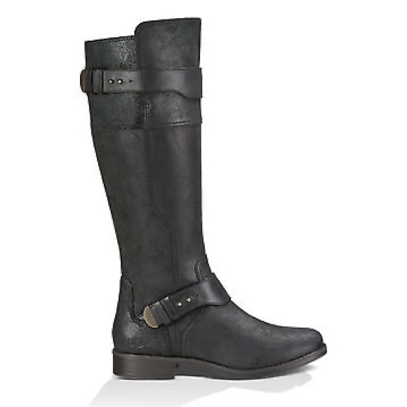 UGG | Shoes | Ugg Dayle Moto Boot | Poshmark